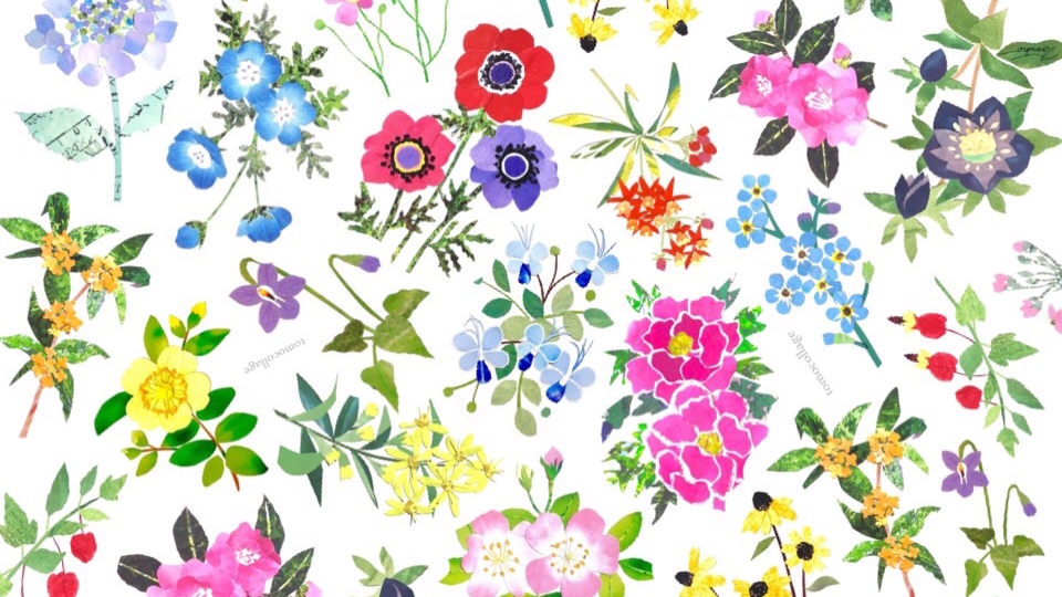 tomocollage | アーティスト・講師紹介 | FANTIST